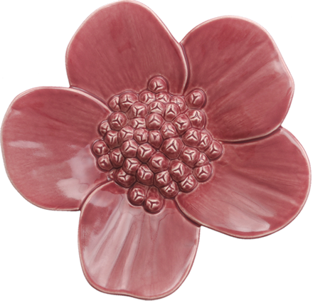 Ribbonwood Flower - Steiner Ceramics - Handmade Ceramics in New Zealand