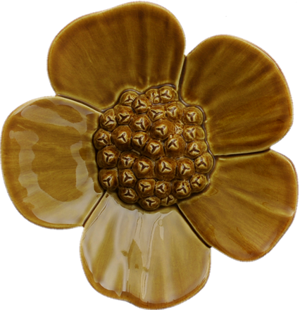 Ribbonwood Flower - Steiner Ceramics - Handmade Ceramics in New Zealand
