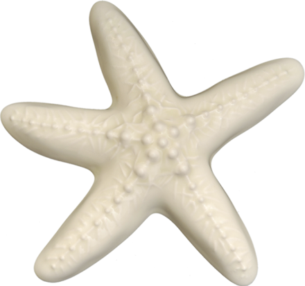 Wall Star Fish - Steiner Ceramics - Handmade Ceramics in New Zealand